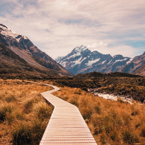 Mindfulness and Moderation: the Power of the Middle Way